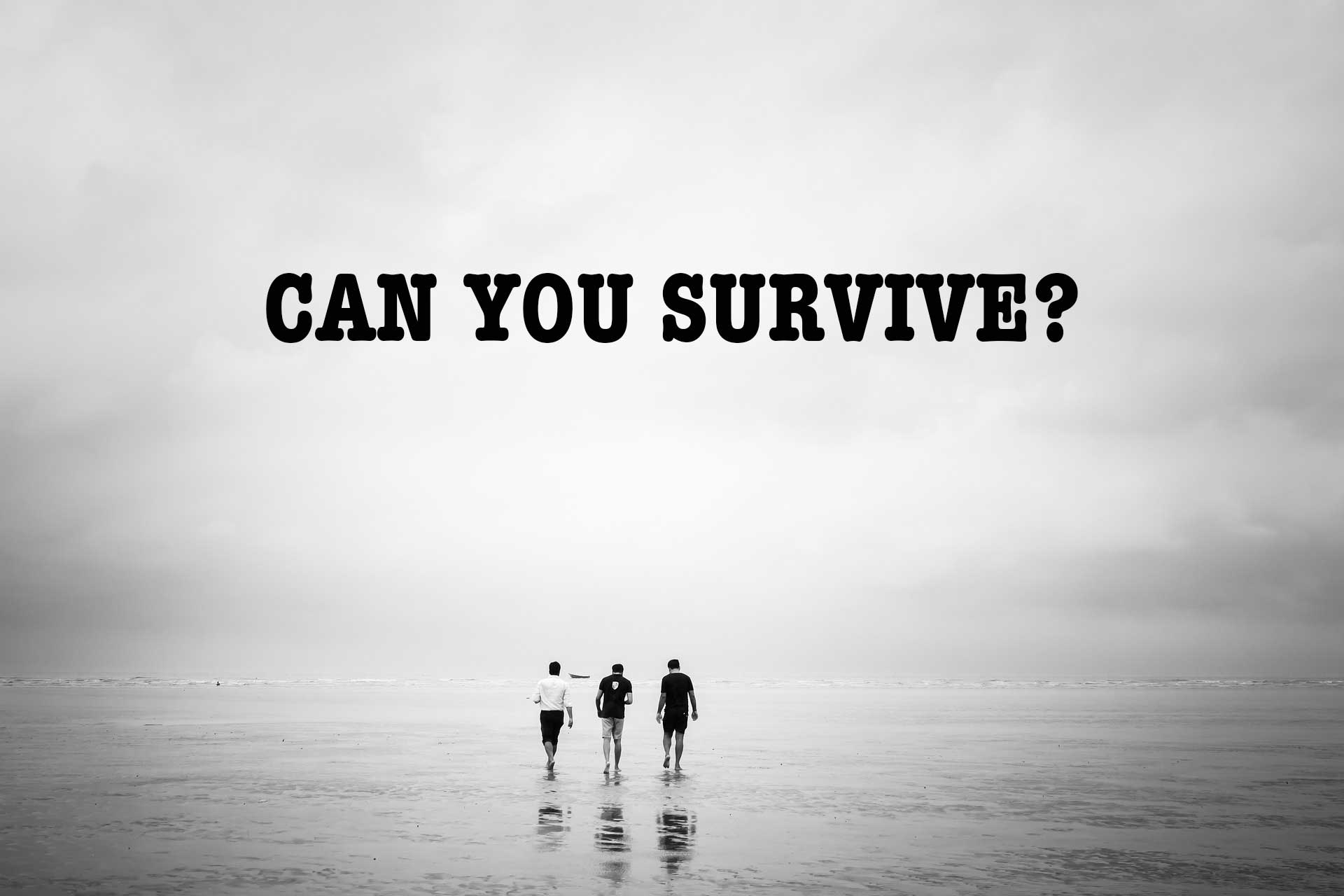 Can you survive? - Vella Karman